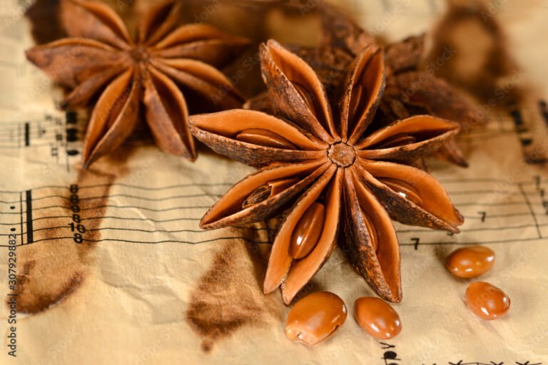 De semilla a especia: cómo cultivar anís en casa (en macetas ...